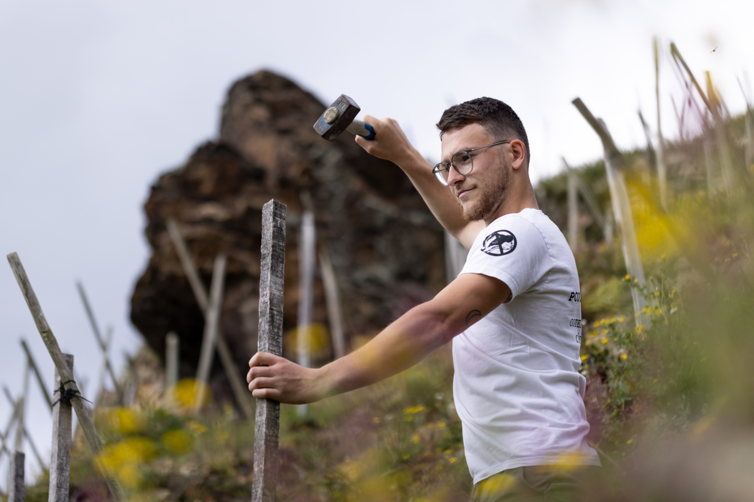 The history of the Maison Stéphan estate - Maison Stephan